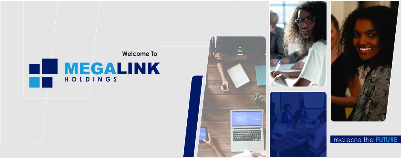 Mega Link Holdings – Recreate the future
